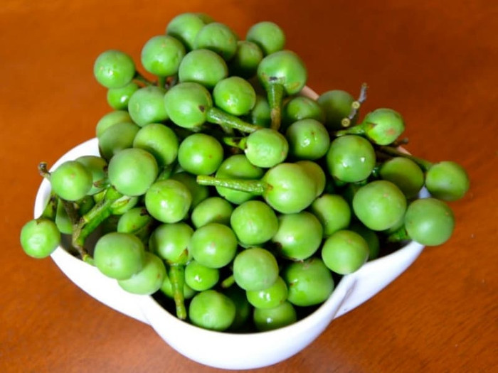 Buah Takokak 1Kg Tekokak Cepokak Terung Pipit Segar (Solanum Torvum ...