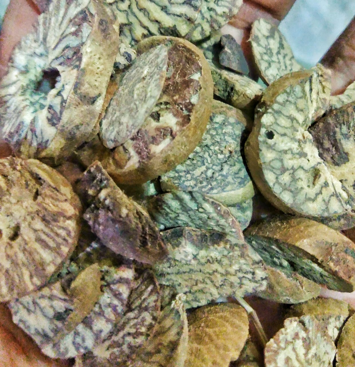 pinang kering irisan 1kg | Lazada Indonesia