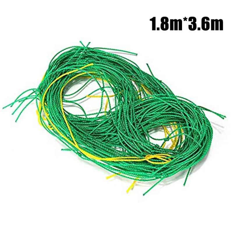 1.8*3.6m Jaring Rambatan Tanaman Buah Sayuran/Buah Plant Climbing Net/Jaring Tanaman Buah Tomat ...