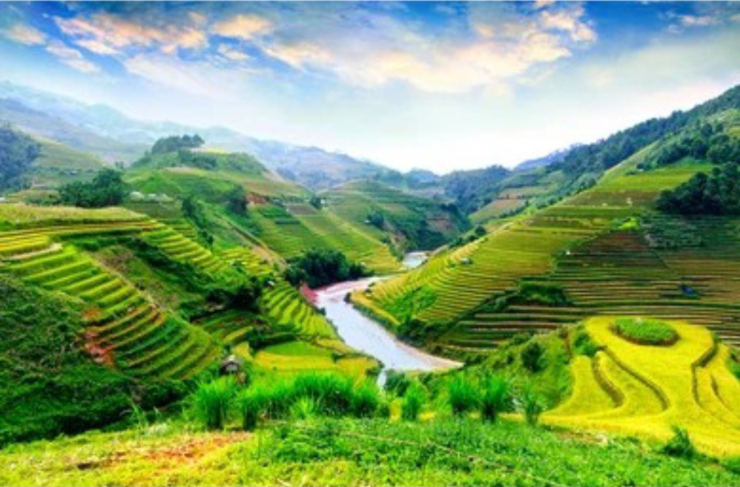 Wallpaper Dinding 3D Custom Murah Berkualitas Gambar Pemandangan Sawah ...