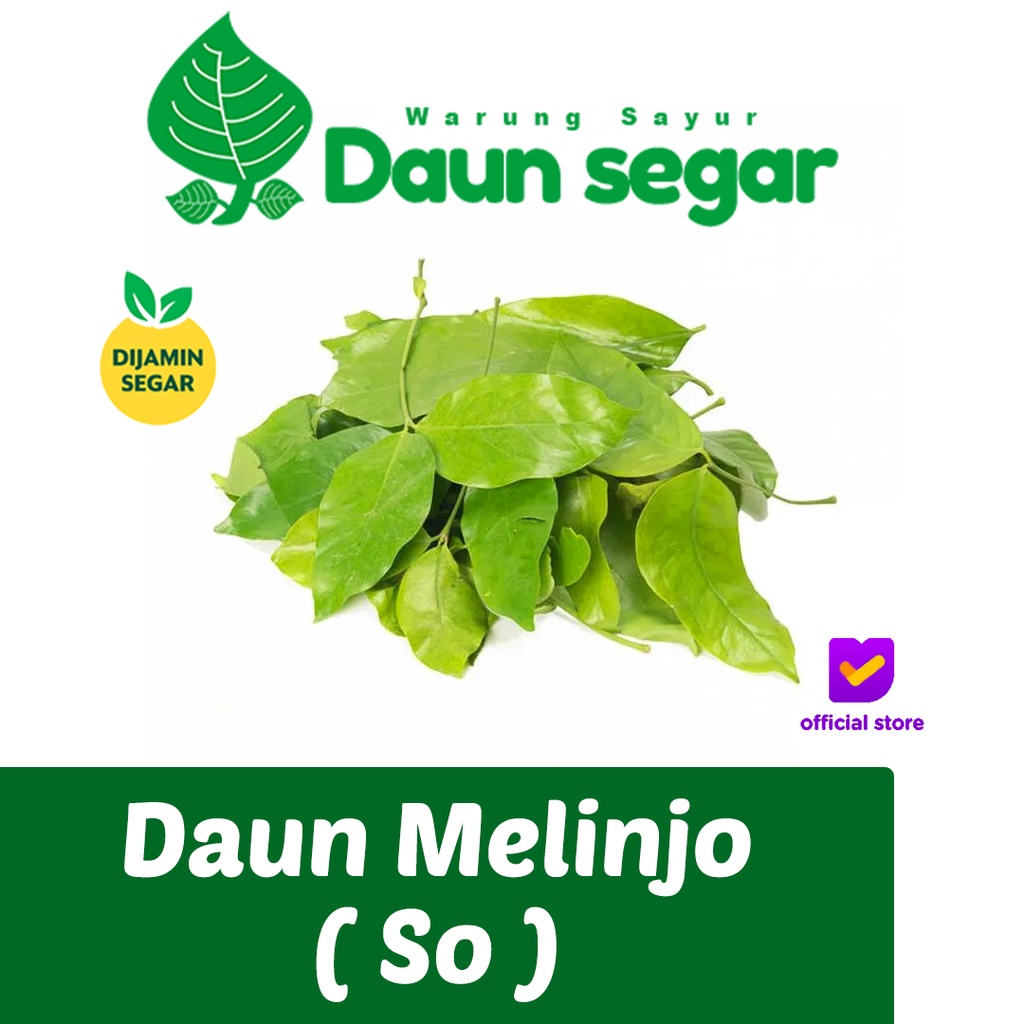 Daun melinjo ( Daun so ) Sayur Asem Fresh Sayur Lodeh - Daun segar ...