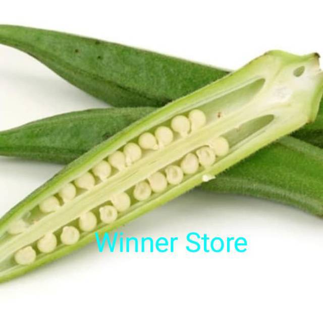 12 kacang bendi hijau lendir lady s fingers green abelmoschus ...