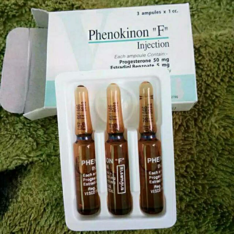 BISA COD/BYAR DITEMPAT / HERBAL / Phenokinon F Injection Original Vesco ...