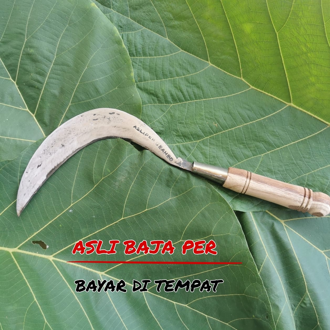 arit sabit baja per asli model madura putih - pengaritan rumput padi ...