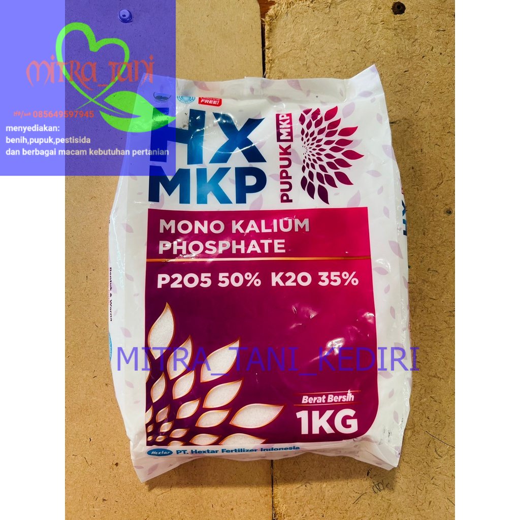 Pupuk nitrat fase generative / fase pembuahan HX MKP isi 1kg dari ...