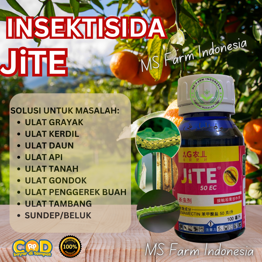 JITE INSEKTISIDA - Pengendali Hama Ulat Grayak, Sundep, Thirps, Larva ...