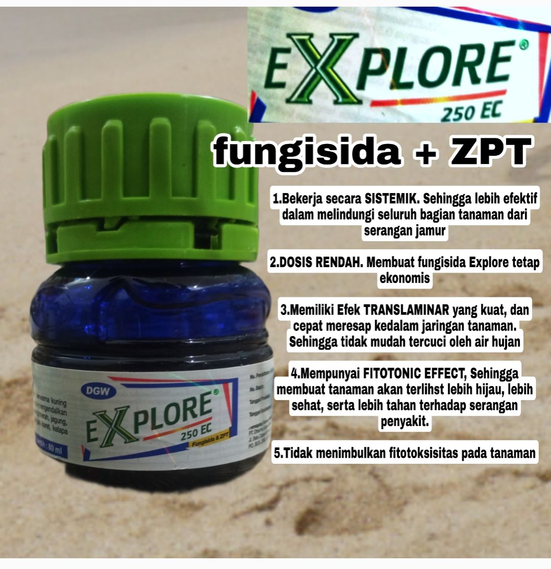 fungisida explore 250 ec ( 80 ml ) / fungisida sistemik / embun tepung ...