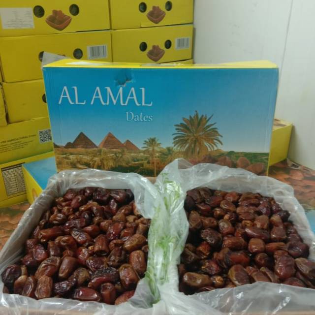 Kurma Mesir Al Amal 10kg 10 kg | Lazada Indonesia