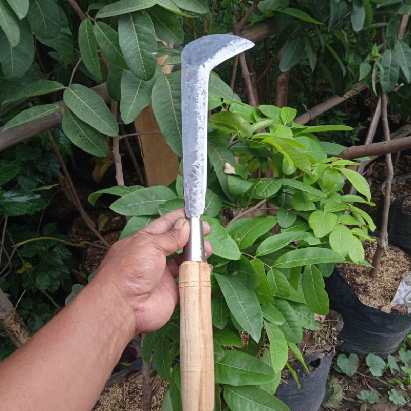 ARIT POTONG RUMPUT ARIT BAJA ARIT SURATA | Lazada Indonesia