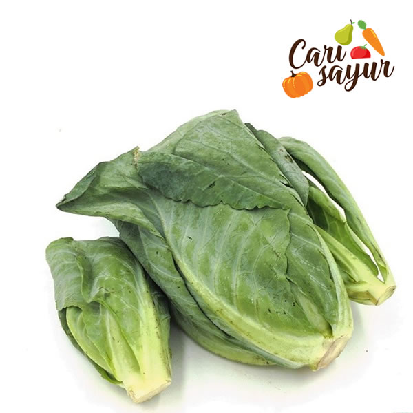 CARI SAYUR - Ceciwis [250 gr] | Lazada Indonesia