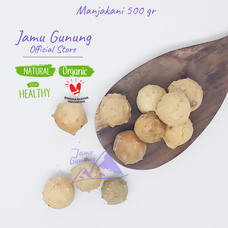 Manjakani Kering 500gr Asli Hutan - Obat Kista Tradisional | Lazada ...