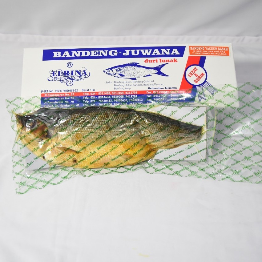 Bandeng presto duri lunak vacum basah elrina bandeng juwana | Lazada ...