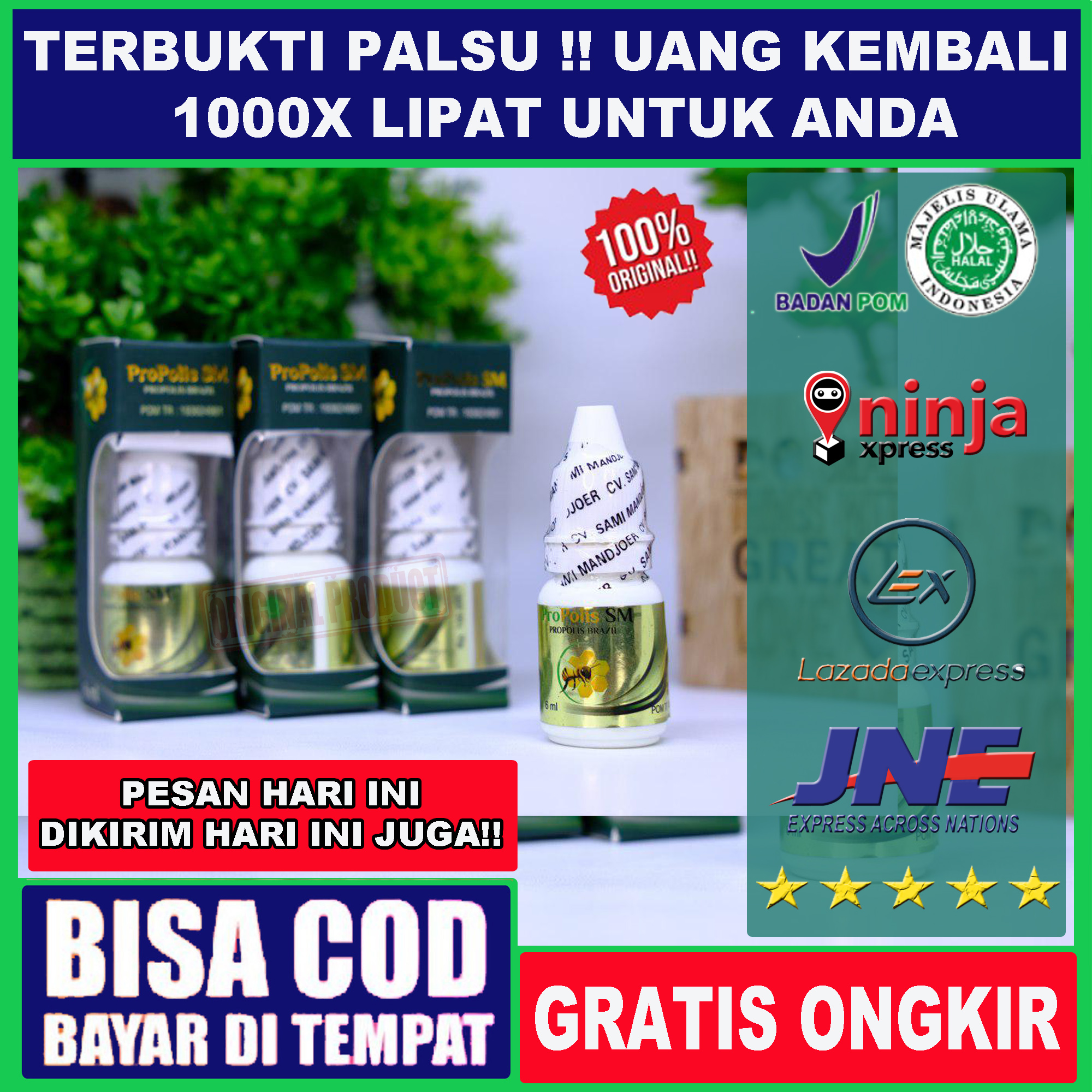 Obat Hidung Tersumbat, Polip, Sinusitis Kronis, Pilek Menahun, Flu ...