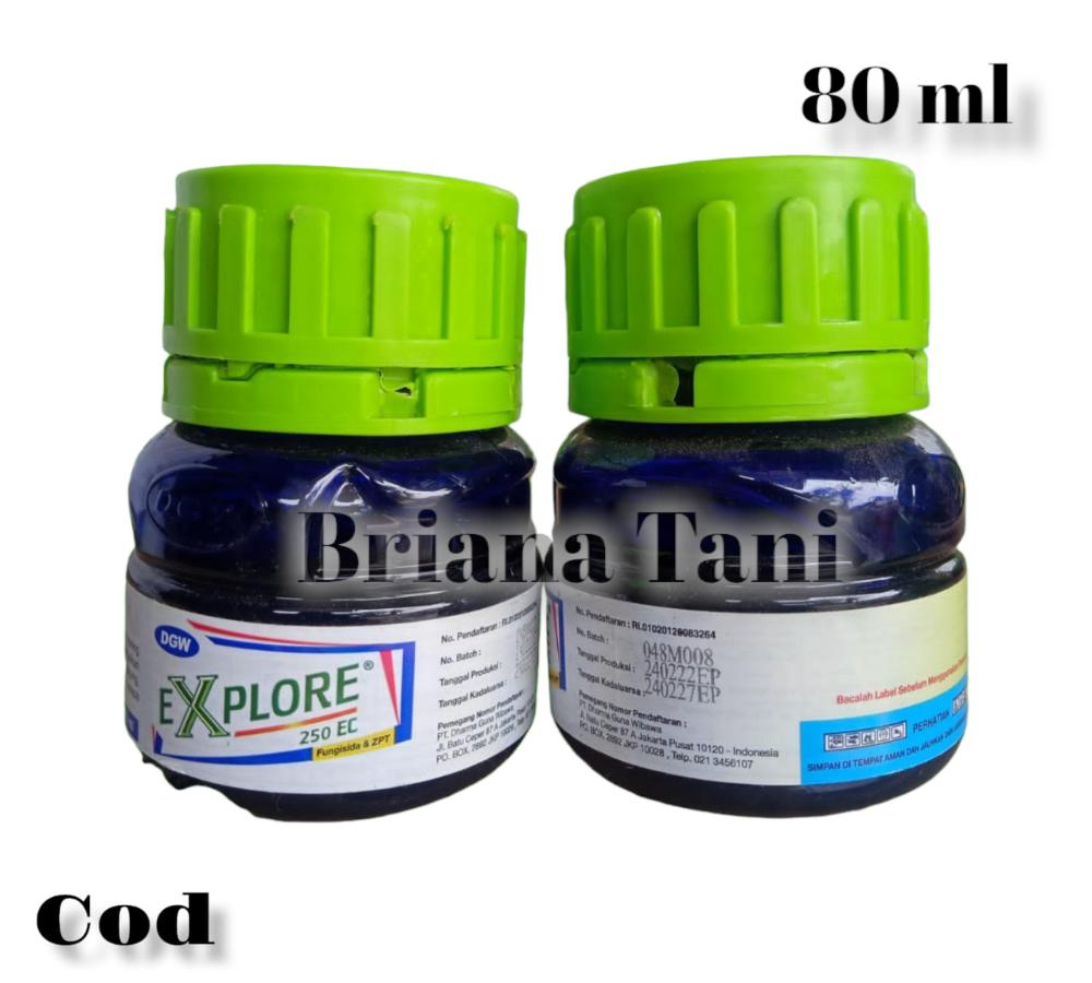 Fungisida EXPLORE 80ml Pembasmi Hama Jamur +ZPT DGW Setara SCORE ...