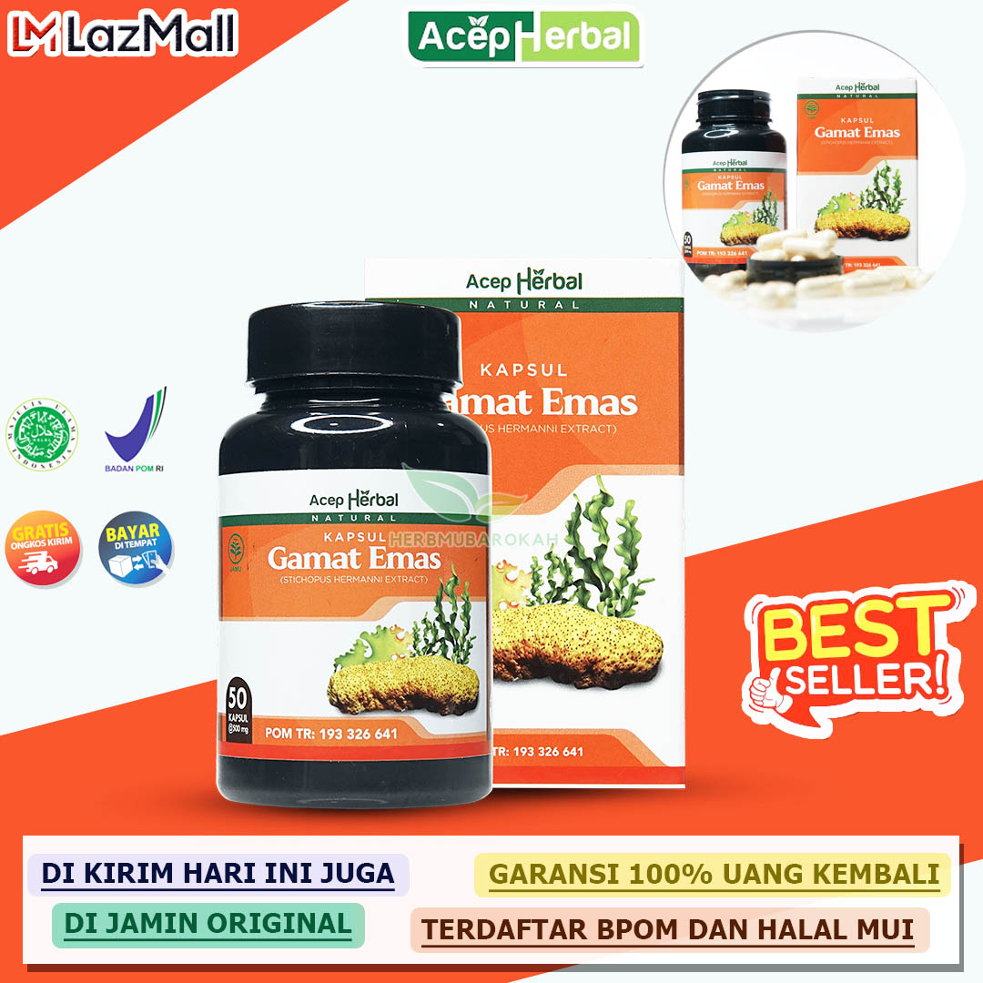 Kapsul Gamat Mas Asli - Kapsul Gamat Emas Original ( Produk Beragansi ...