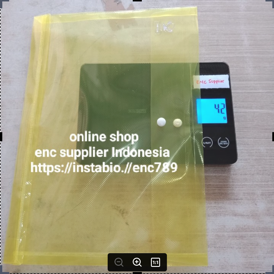 eagle 3 pcs map plastik folio kancing E-215H data bag stopmap f4 e 215h ...