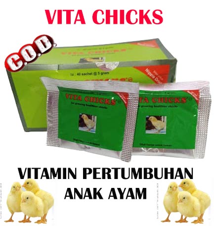 3 Sachet Obat Ayam Vitamin Ayam Vitamin Anak Ayam VITA CHICKS Untuk Pertumbuhan Anak Ayam lebih ...