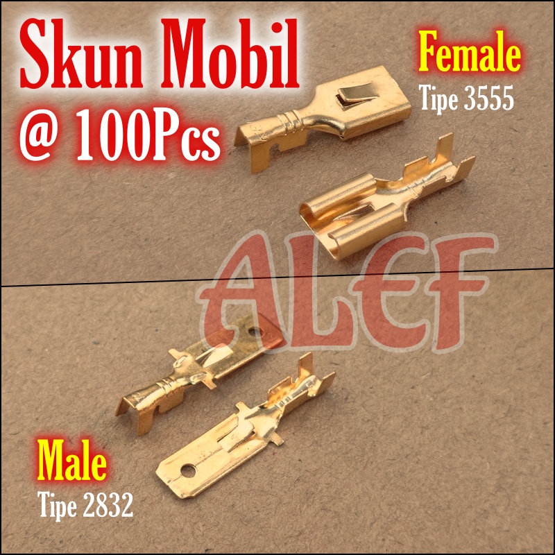 100Pcs Skun Male Female 3555 mobil 2832 Male Skun Motor Mobil | Lazada ...