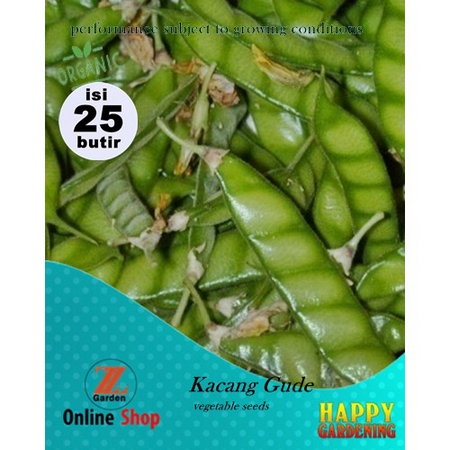 25 butir bibit biji benih tanaman sayur kacang gude | Lazada Indonesia