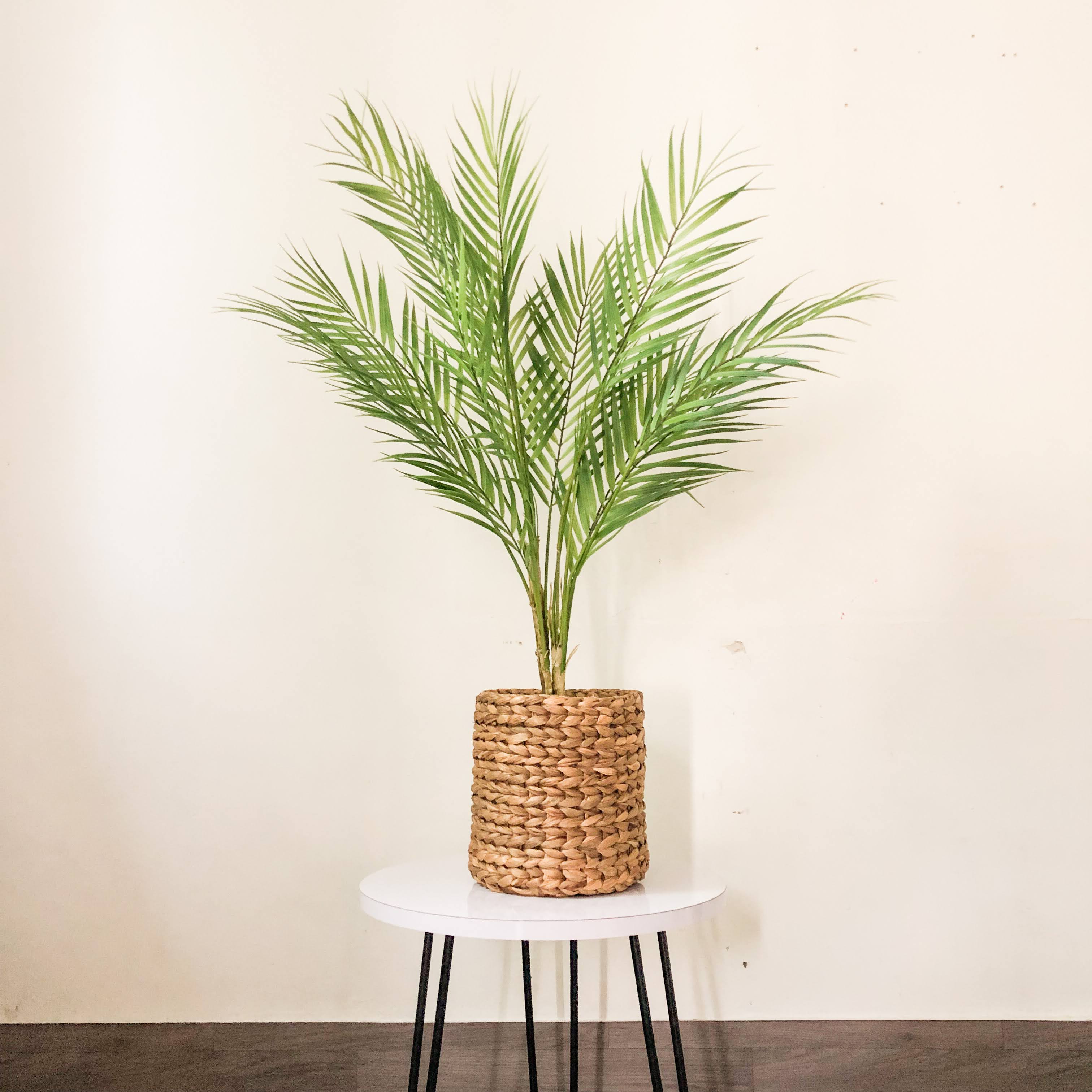 DAUN TEBAL TIDAK GLOSSY Pohon Palem Plastik | Daun Artificial Dekorasi ...