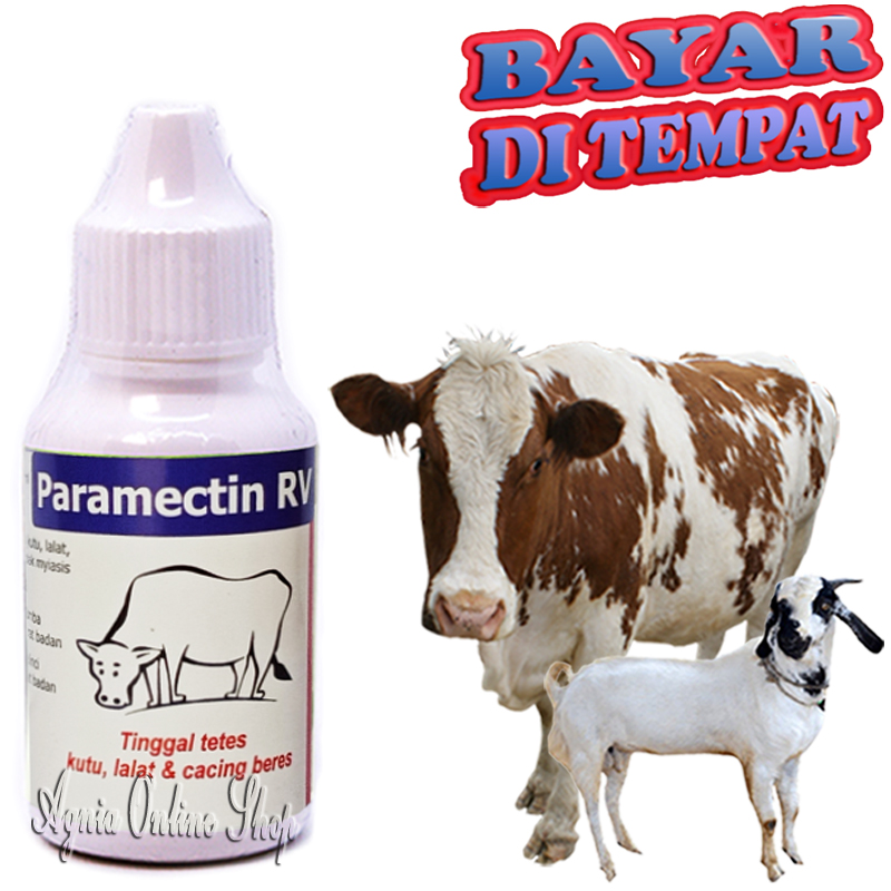 Obat Anti Kutu Sapi Kambing Kerbau Kuda Tetes PARAMECTIN RV Pembasmi ...