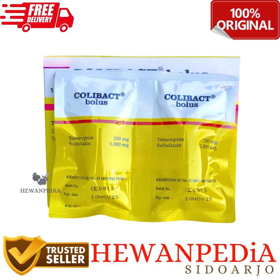 COLIBACT 12 BOLUS 1 Box HEWANPEDIA - Obat Antibakteri Hewan Ternak ...