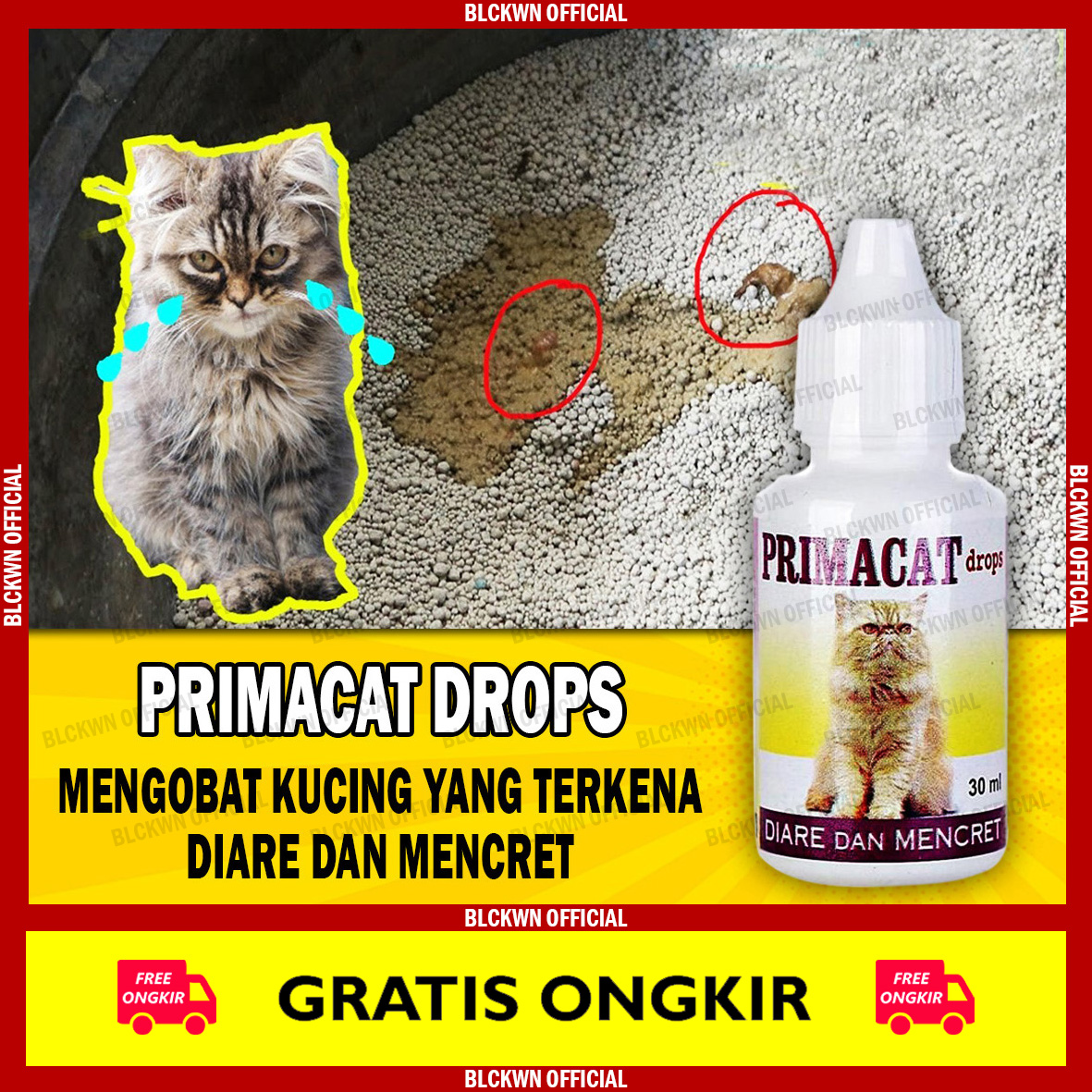 Obat Diare Kucing Kitten Primacat Drops | Lazada Indonesia
