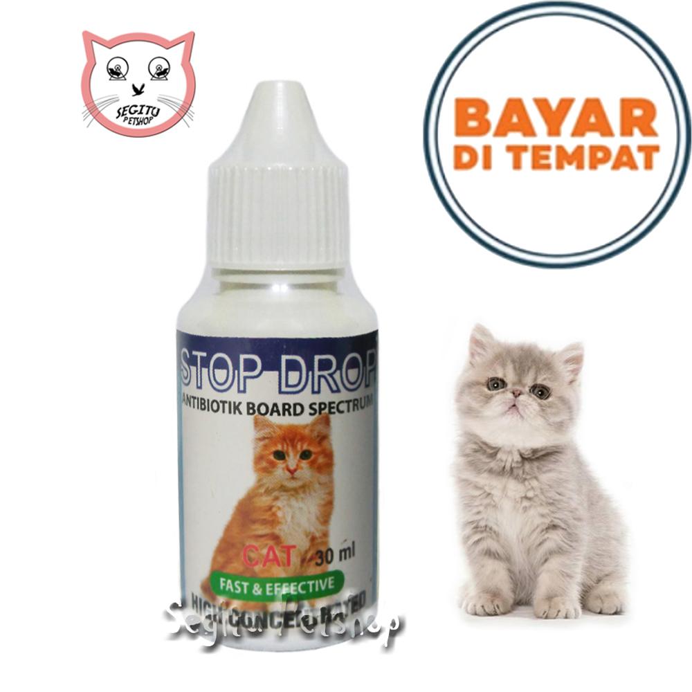 Antibiotik Kucing Obat Flu Demam Virus Stop Drop | Lazada Indonesia