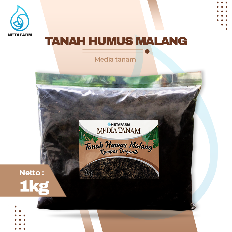 Humus Tanah