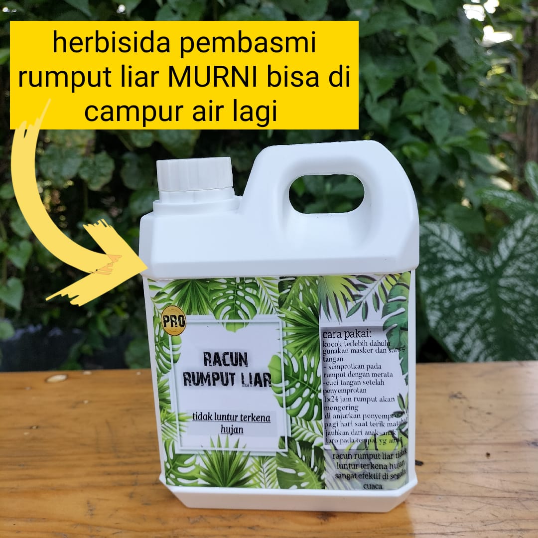 RACUN RUMPUT 1L mati sampai akar | Lazada Indonesia