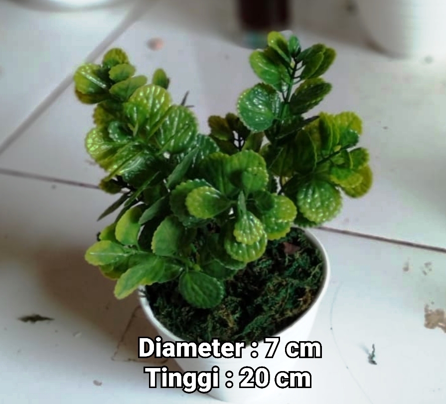 Tanaman Hias Daun Mint Plastik Mini / Daun Set Pot Tanaman Artificial ...