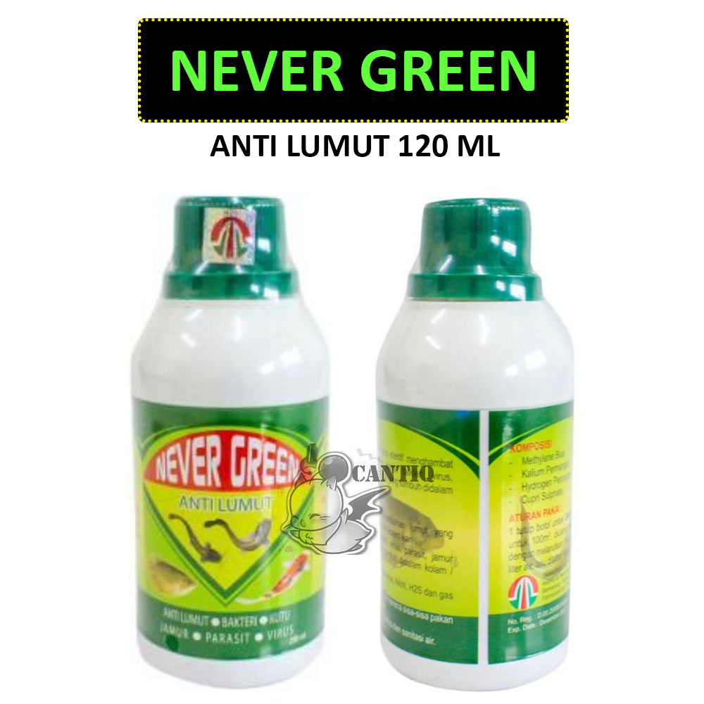 NEVER GREEN 120 ML Anti Lumut Aquarium Obat Cairan Pembunuh Pembasmi ...