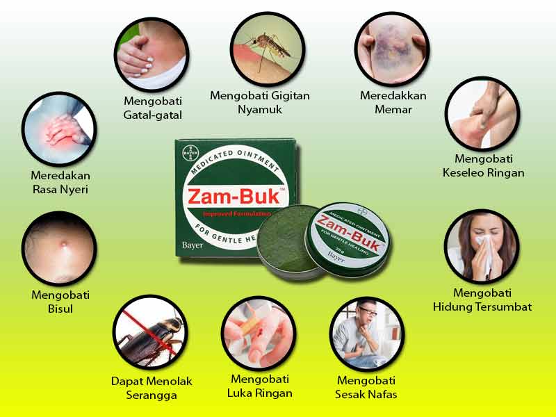 ZAMBUK ASLI ORIGINAL BAYER-Zam-Buk Obat Memar Original Asli Bayer ...