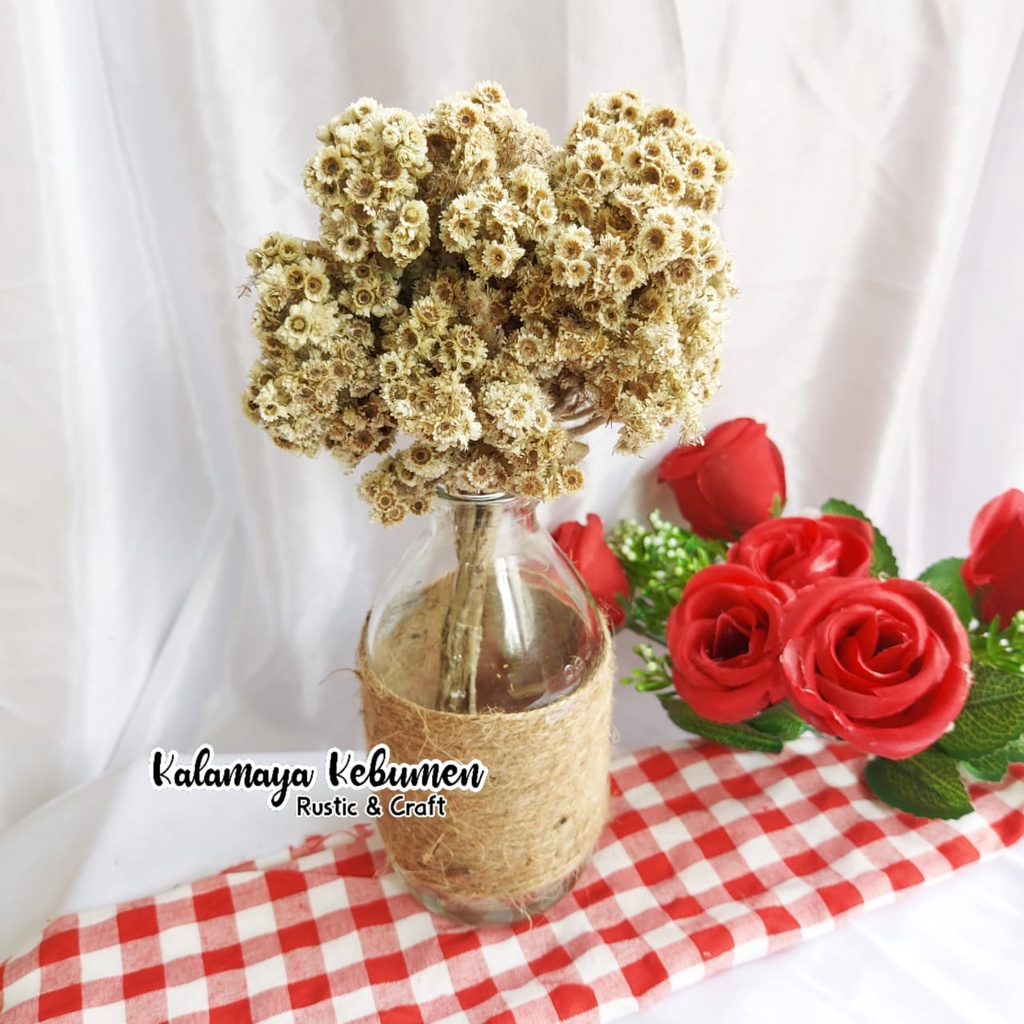 Vas Estetik Goni Edelweis Budidaya Hiasan Vas Buket Bunga Kering Dried ...