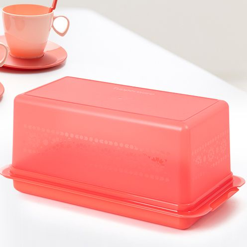 Tupperware Bread Server tempat penyimpanan roti | Lazada Indonesia