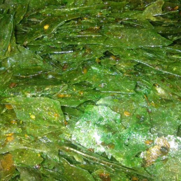 Keripik Kaca Pedas Cabe Ijo 250gr Keripik Kaca Ekstra Pedas Cabe Hijau ... Keripik Kaca Pedas Cabe Ijo 250gr Keripik Kaca Ekstra Pedas Cabe Hijau ...