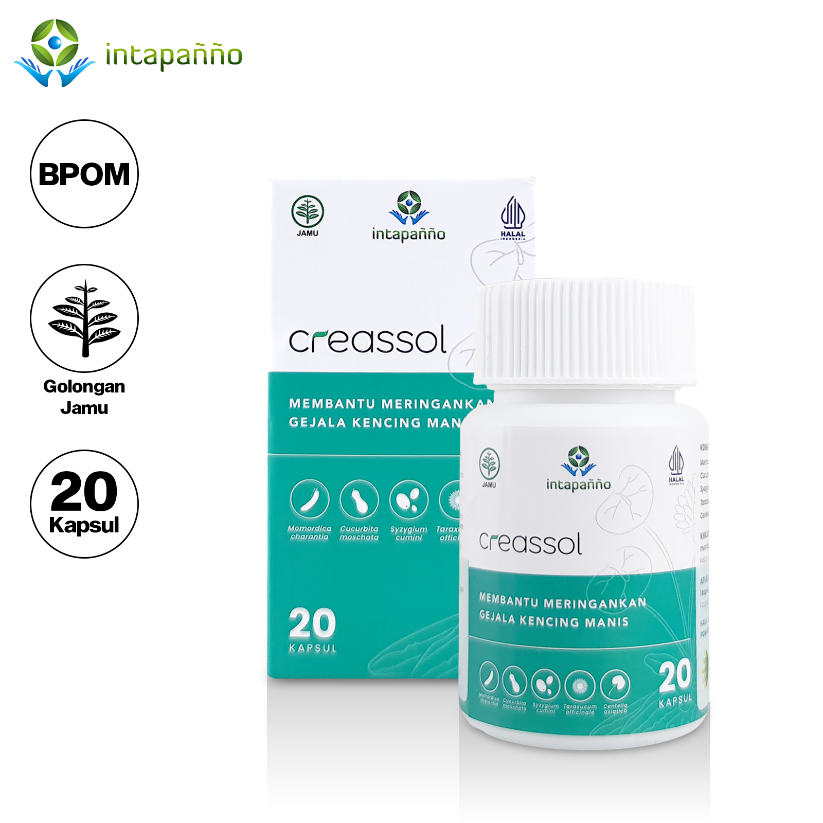 INTAPANNO Creassol Obat Herbal Diabetes / Kencing Manis 20 Kapsul Jamu ...
