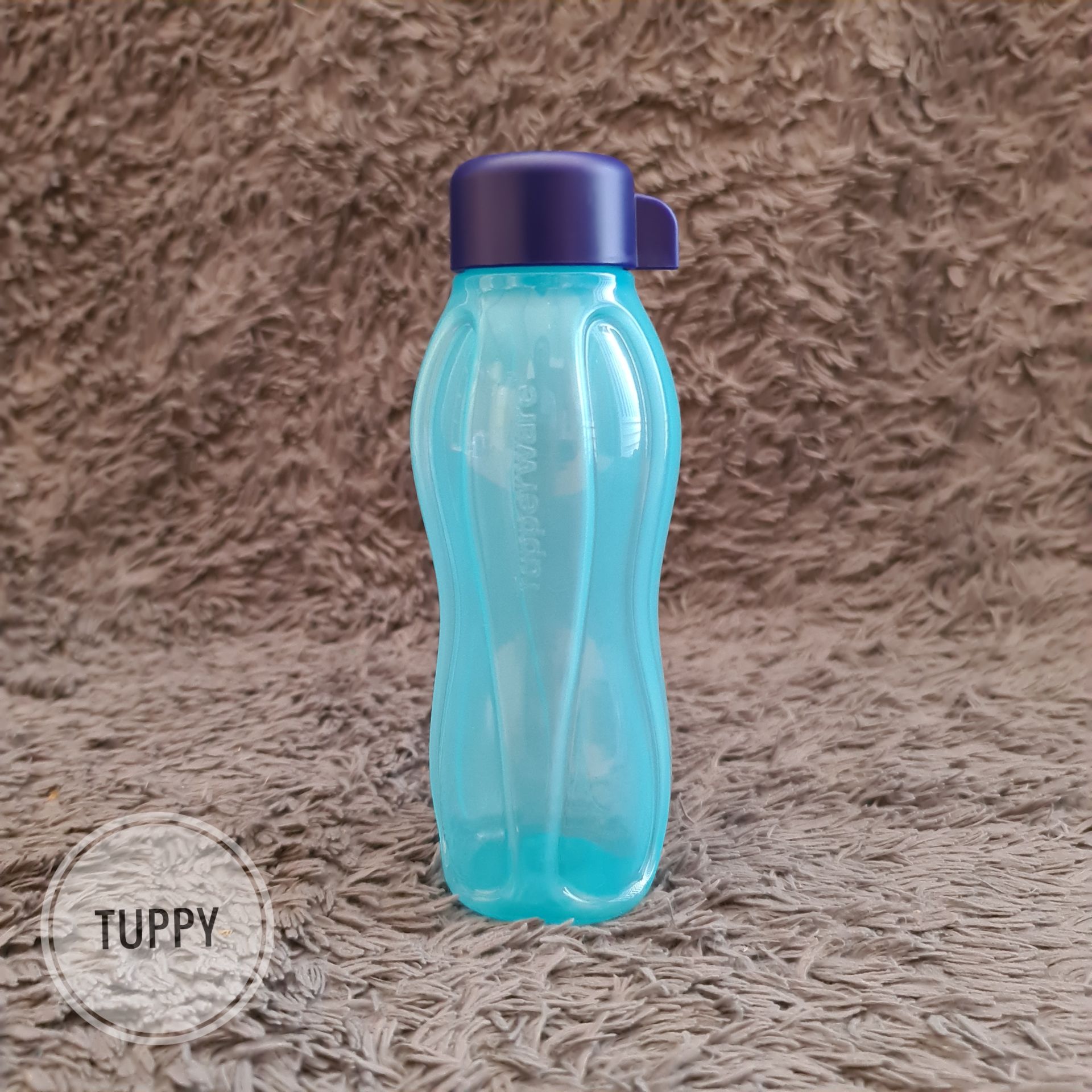 Tupperware Tupperware Botol Minum Eco Bottle 310ml Ulir 1 pcs | Lazada ...