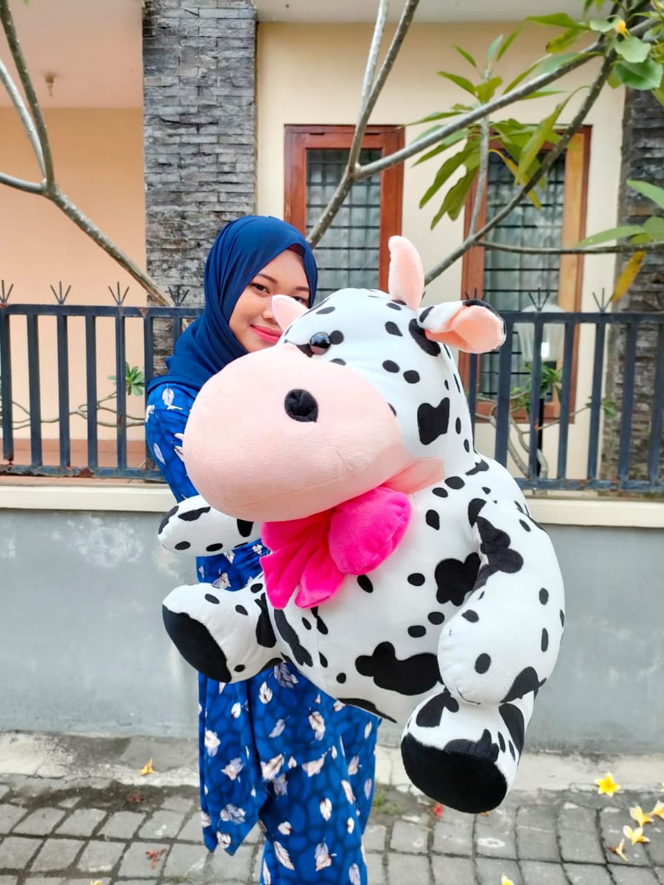 Boneka Sapi Lucu Ukuran Sedang 50cm SNI Murah Untuk Kado Wisuda Ultah ...