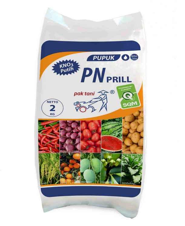 Pupuk PN 13-0-45/KNO3 PRILL Pak Tani 2KG KEMASAN PABRIK | Lazada Indonesia