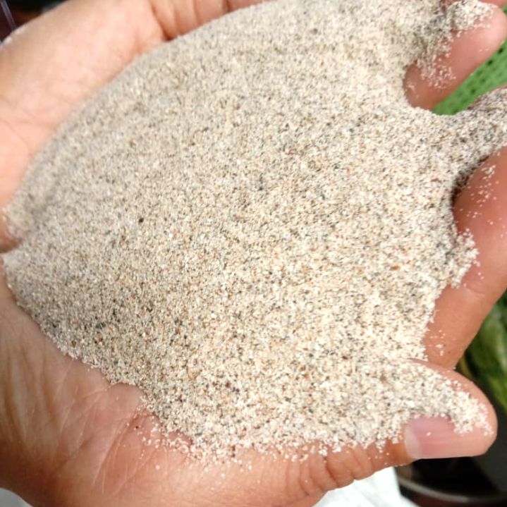 Pasir pantai halus 500grm | Lazada Indonesia