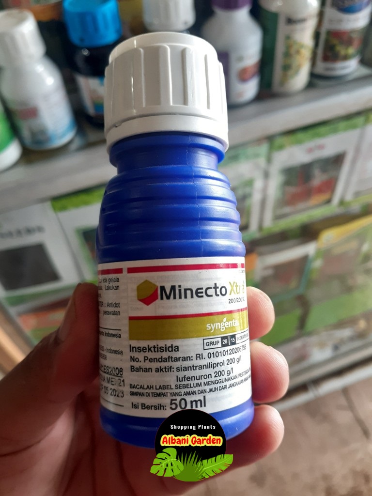 Insektisida Minecto Xtra 100ml / 50ml Asli Dari Syngenta | Lazada Indonesia