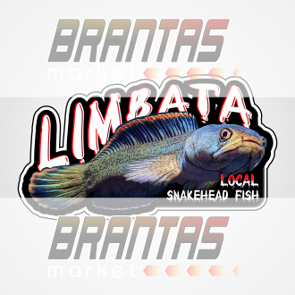 stiker mini ikan galak/channa, arwana, louhan | Lazada Indonesia