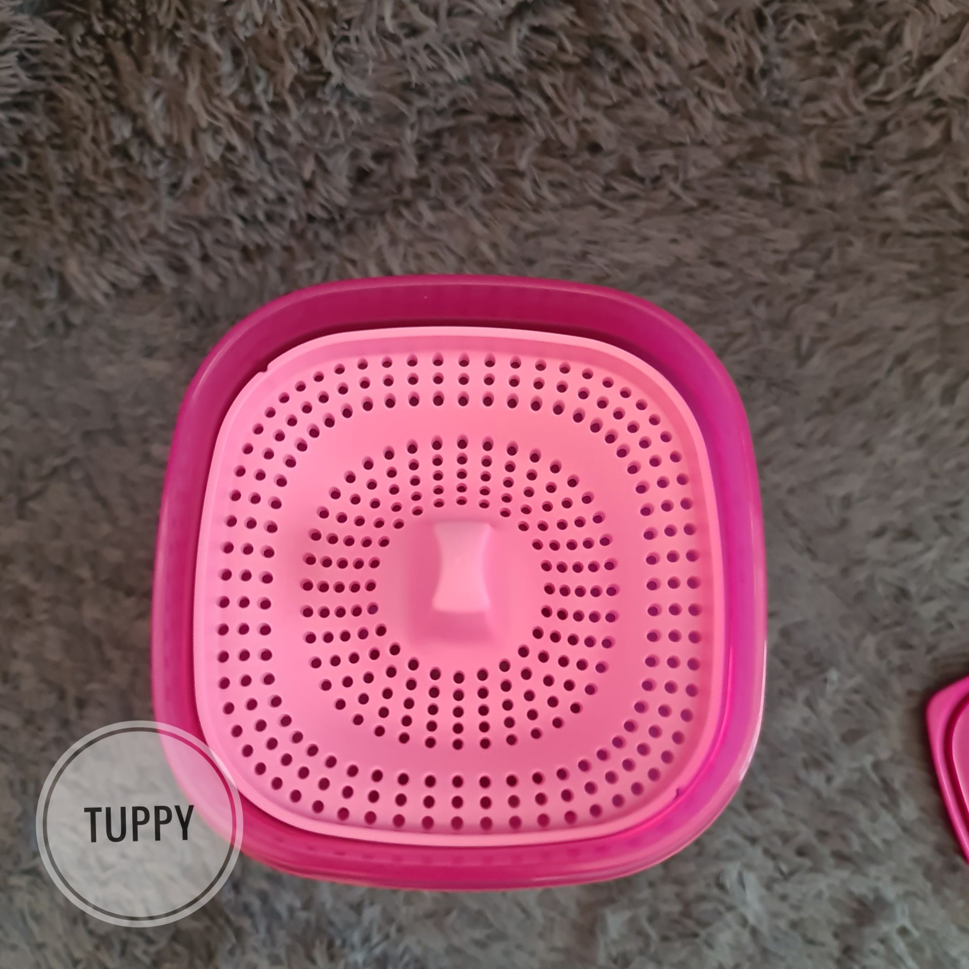 Tupperware Saringan Strainer untuk Slim Line 2 L Tupperware | Lazada ...