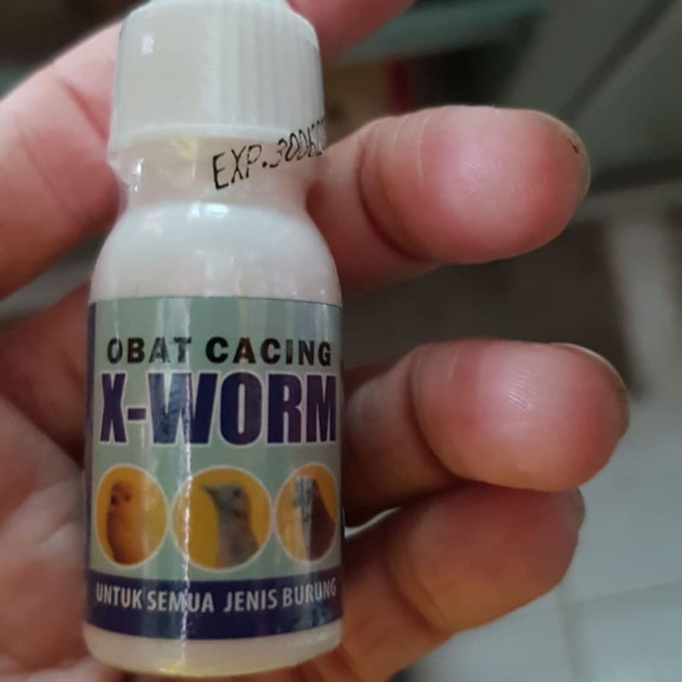 Obat Cacing Burung X Worm Untuk Segala Jenis Burung - X-Worm Obaf ...