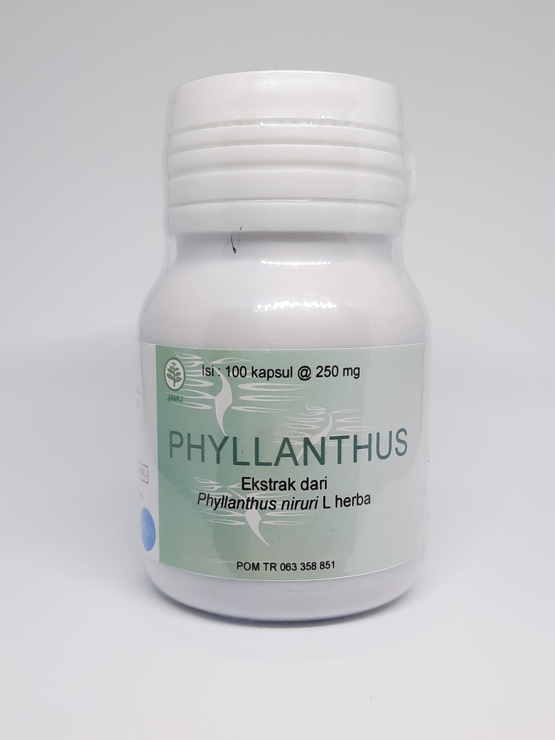 PHYLLANTHUS / MENIRAN - KAPSUL HERBAL MEMELIHARA FUNGSI HATI | Lazada ...