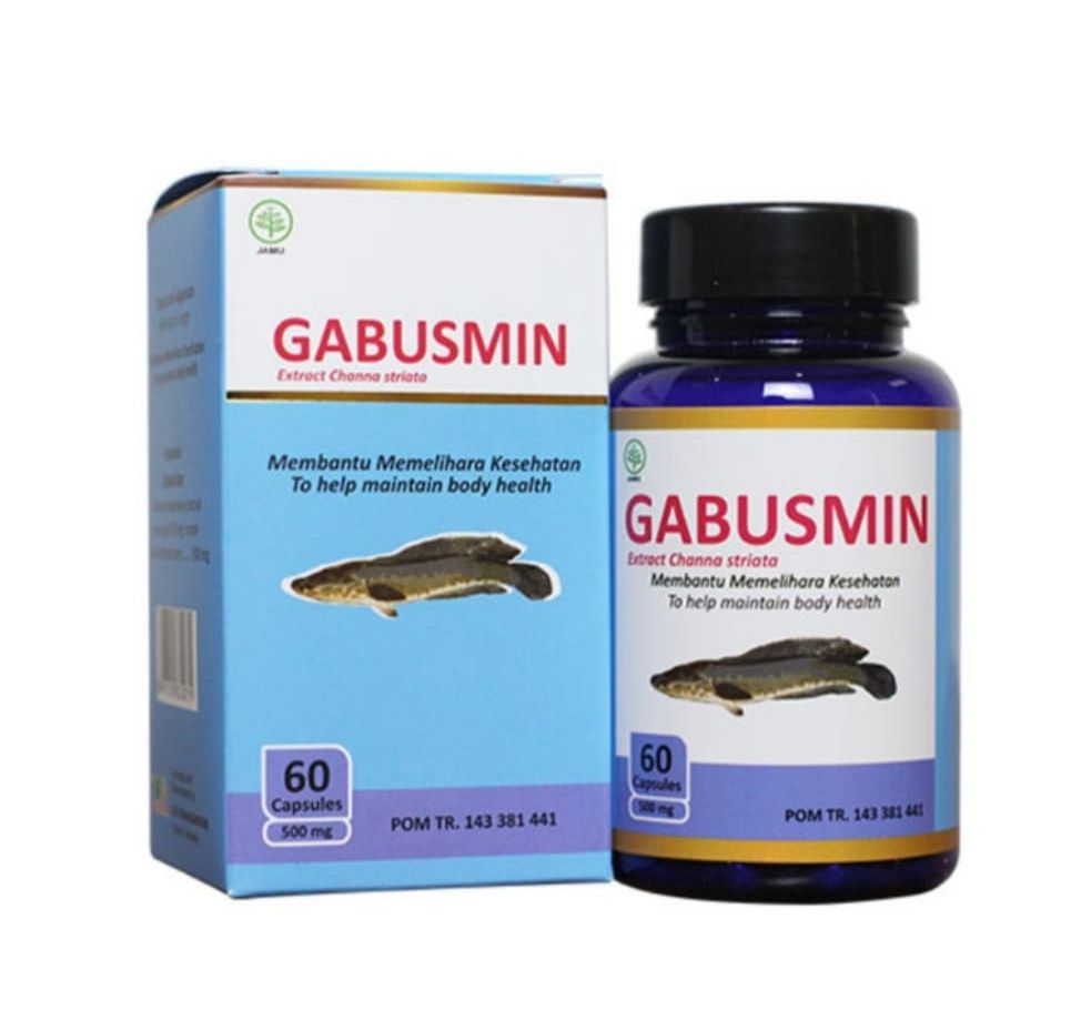 Gabusmin Obat Herbal Kapsul Toga Nusantara 60 Kapsul atasi hipoalbumin ...