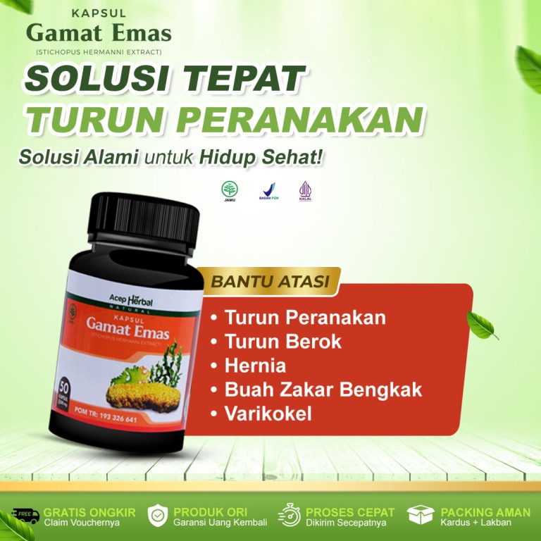 Obat Turun Peranakan, Turun Berok, Hernia, Buah Zakar Bengkak, Varikokel, Varises, Saraf Kejepit ...