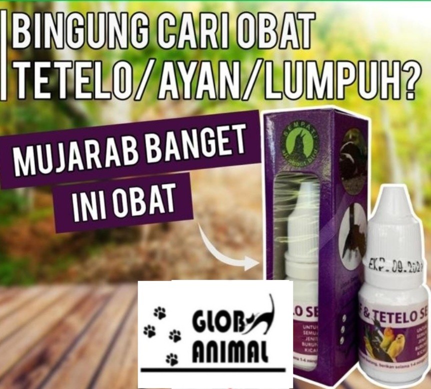 OBAT SARAF BURUNG TETELO obat burung ayan gangguan saraf lumpuh ...