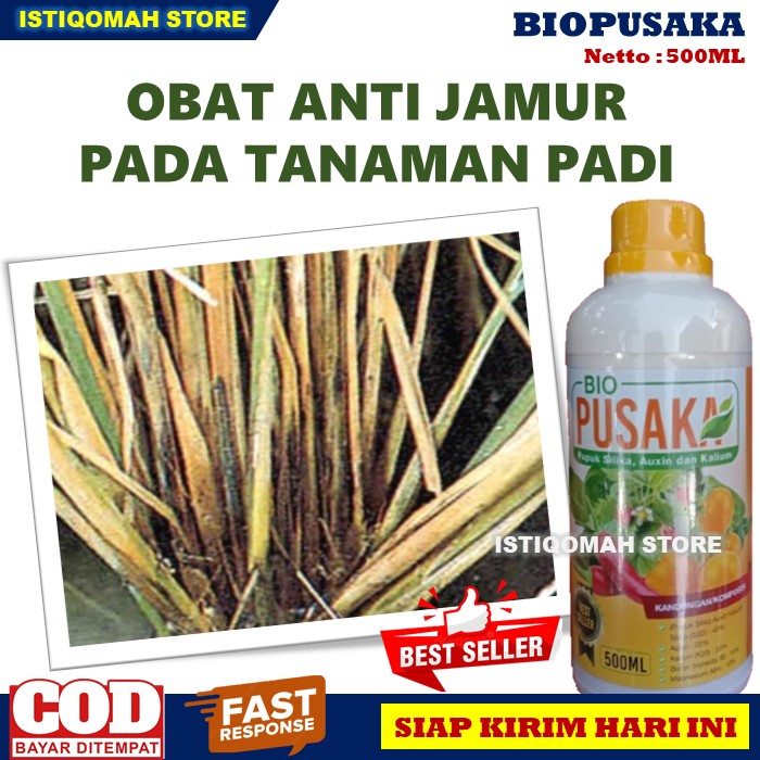 PUPUK OBAT ANTI JAMUR PADI BIO PUSAKA 500ML Obat Pembasmi Jamur pada ...